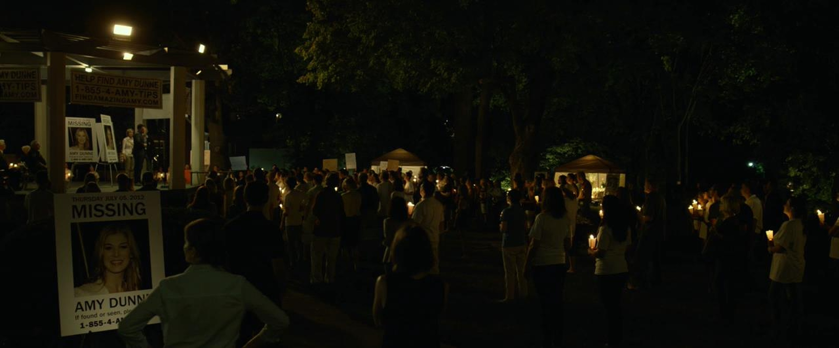 Picture of Gone Girl