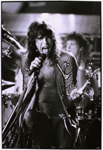 Picture of Steven Tyler