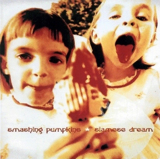 Picture of Siamese Dream