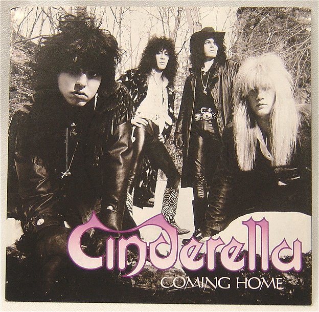 Picture of Coming Home