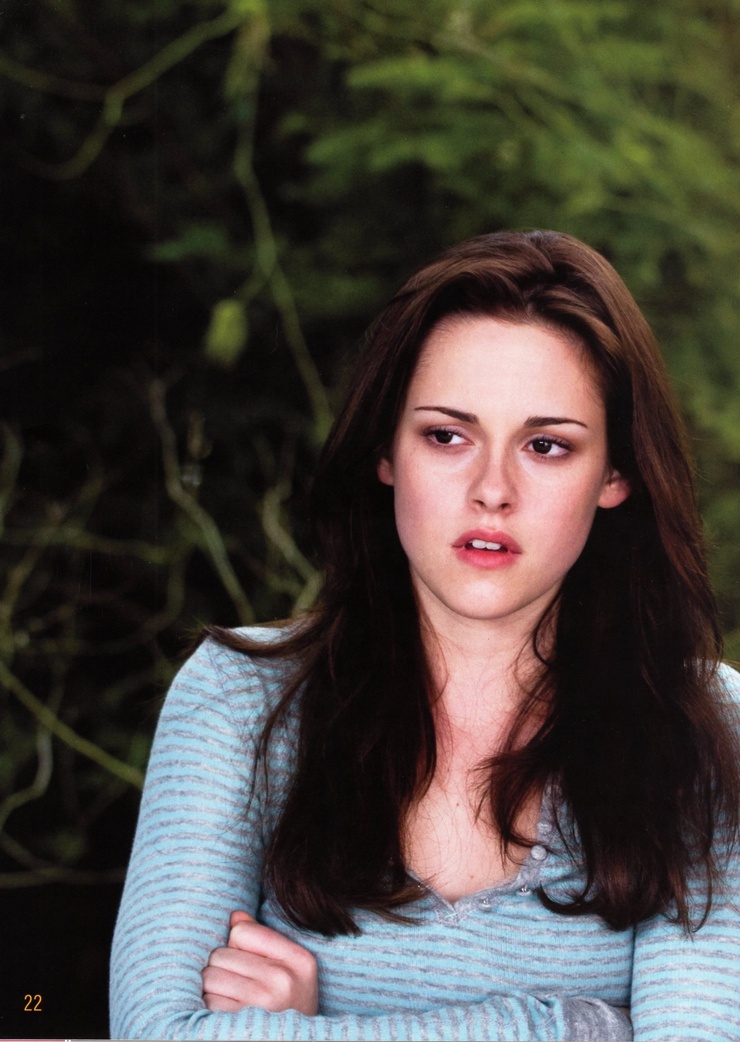 The Twilight Saga: New Moon image