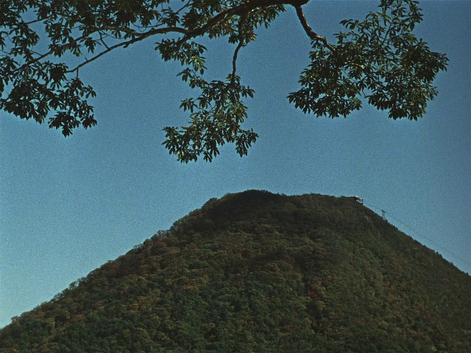 Picture of Late Autumn