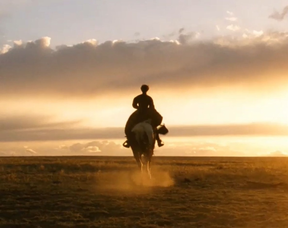 Picture of The Homesman