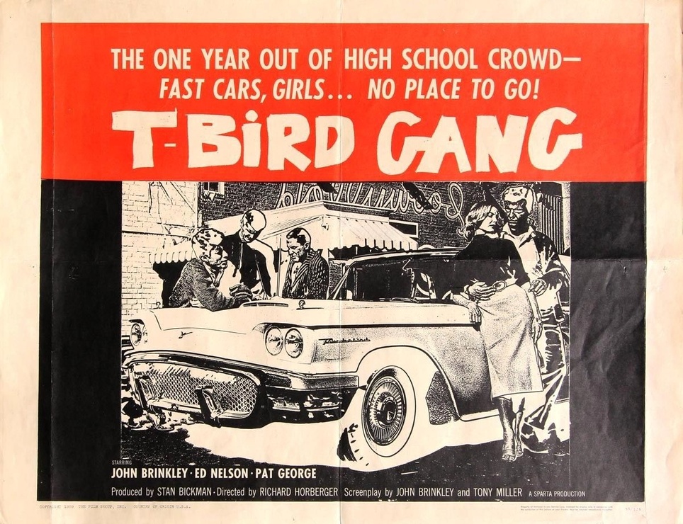 T-Bird Gang image