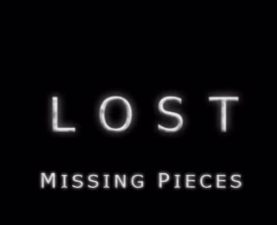 Image Of Lost Missing Pieces