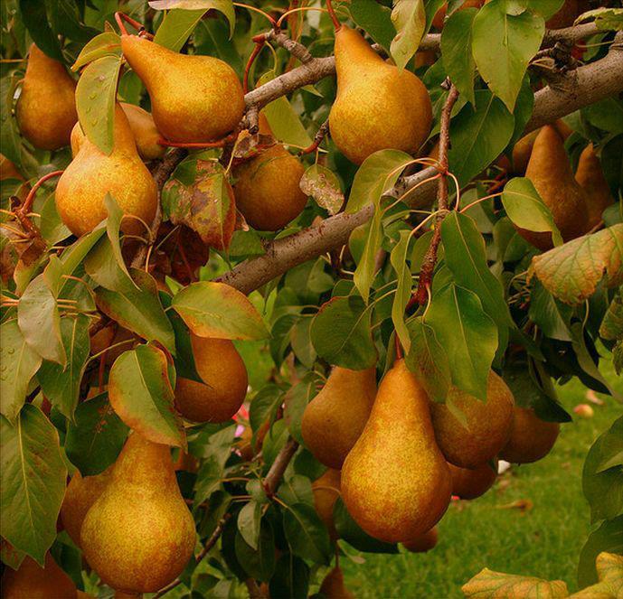 Listal - List the stuff you love! Movies, TV, music, games and books