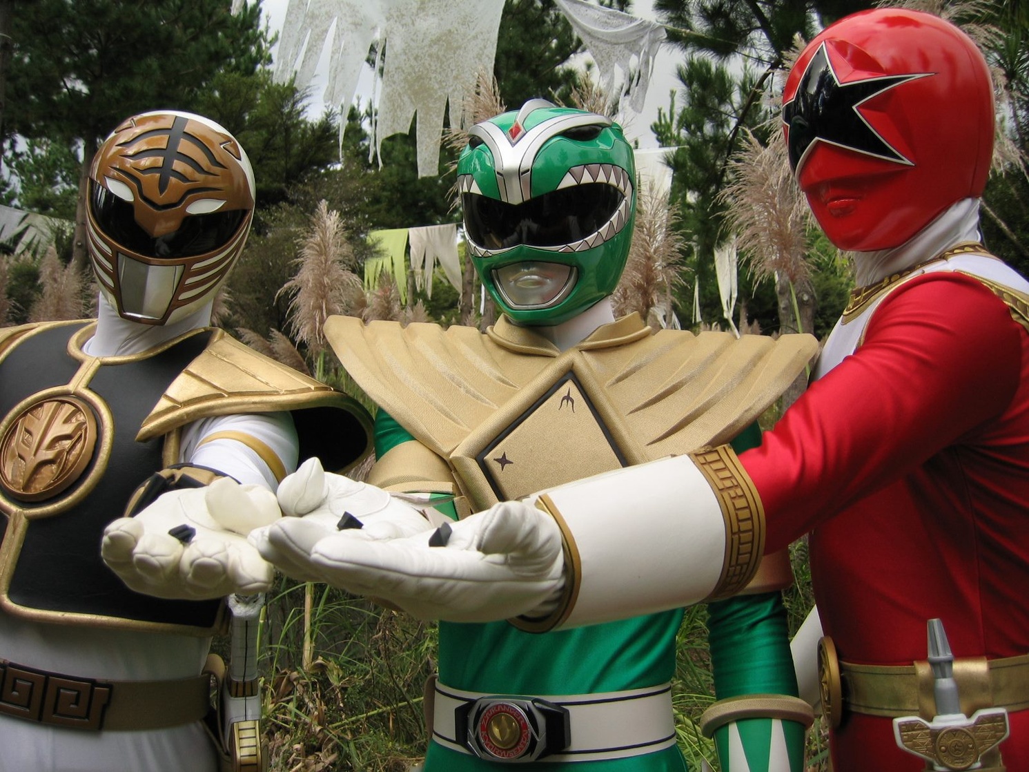 Picture of Tommy Oliver