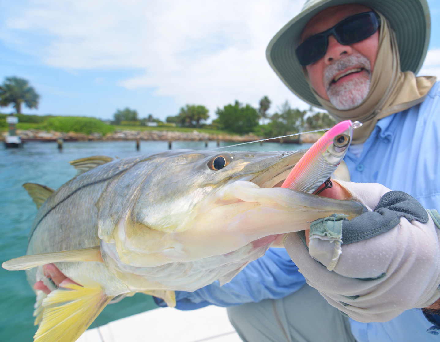 Picture of Atlantic Snook