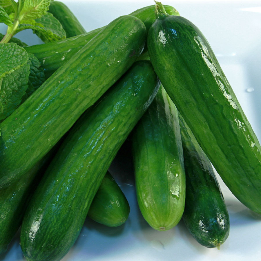 Picture of Cucumber