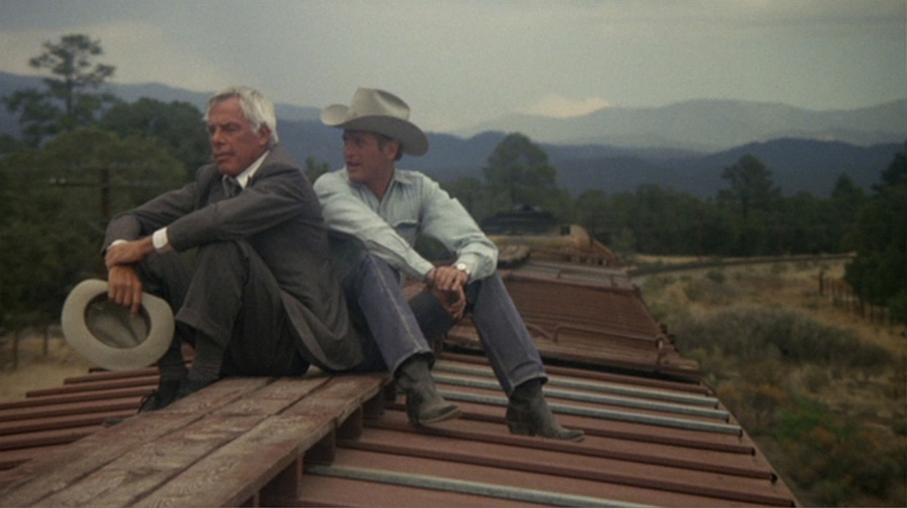 Picture of Pocket Money (1972)