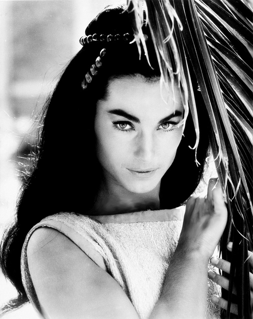 Picture of Shirley Ann Field