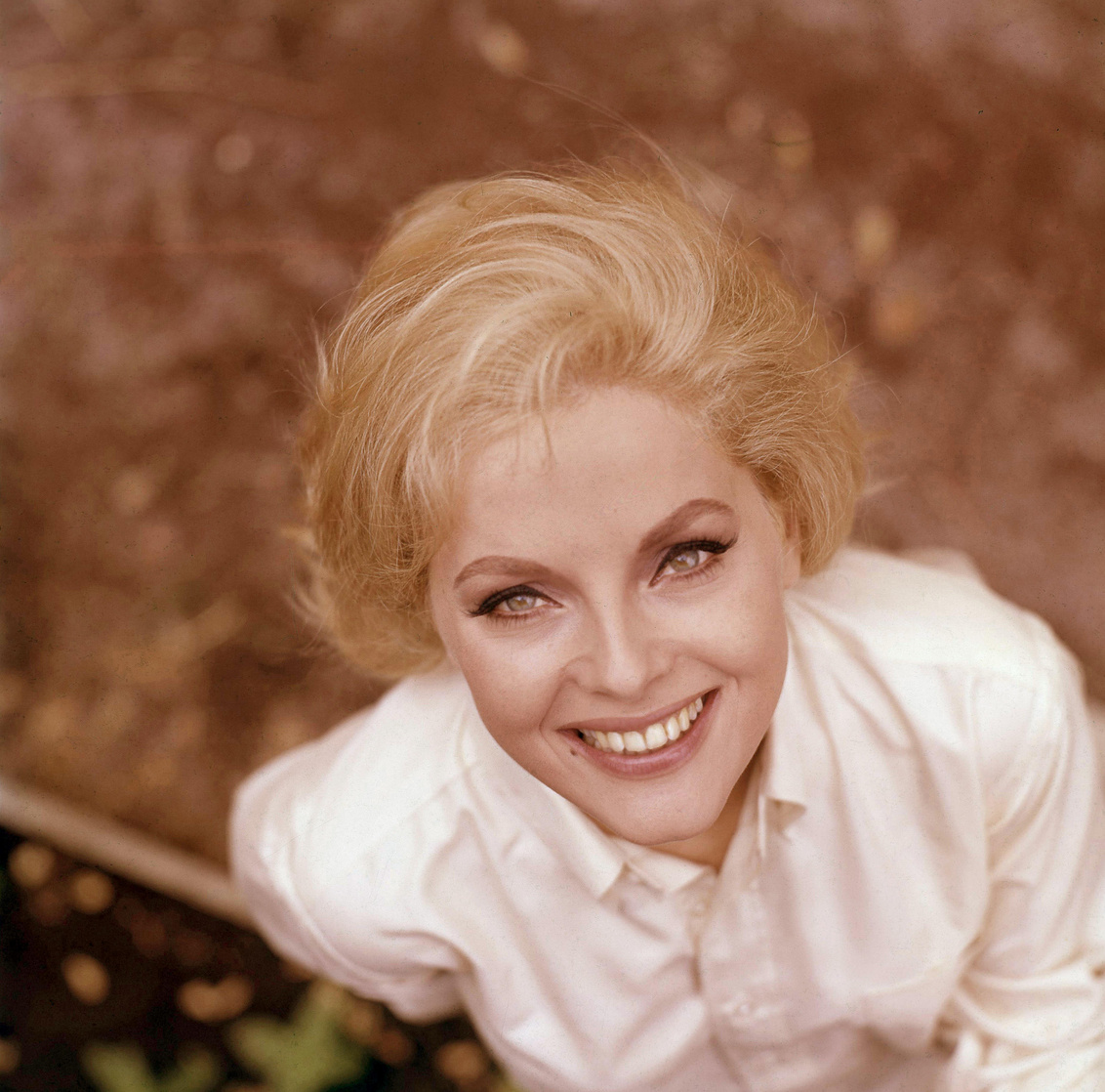 VIRNA LISI