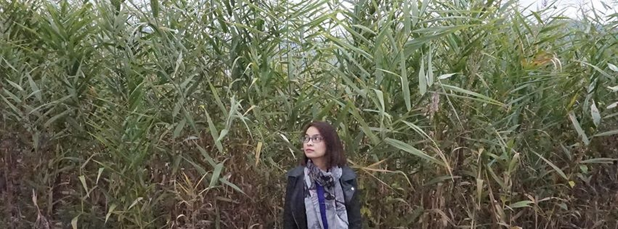 Picture of Ann Thitima Pratoomtip