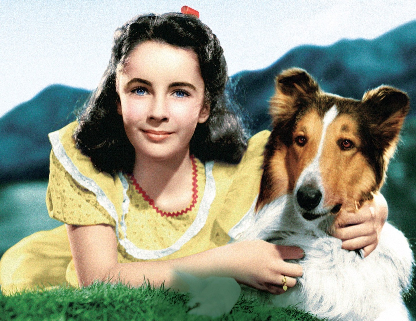 Picture of Lassie
