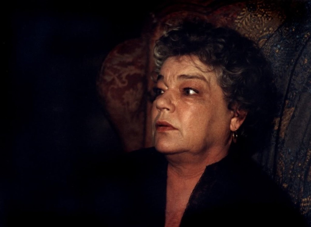 Picture of Madame Rosa (A Life Ahead)