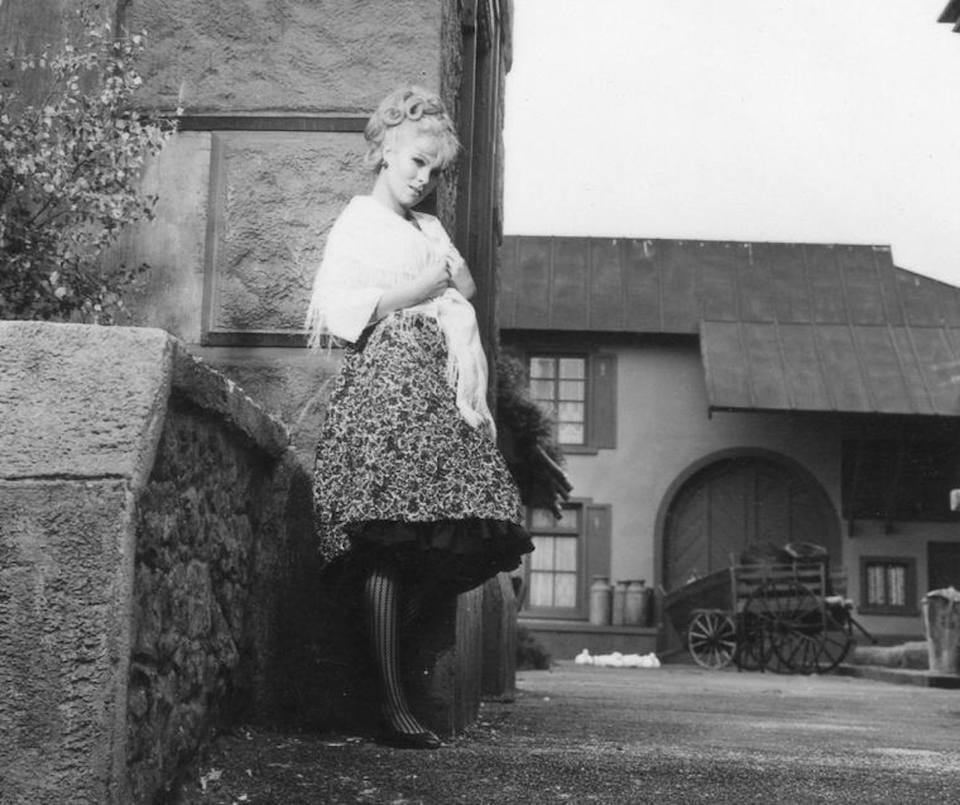 Picture of Susan Denberg