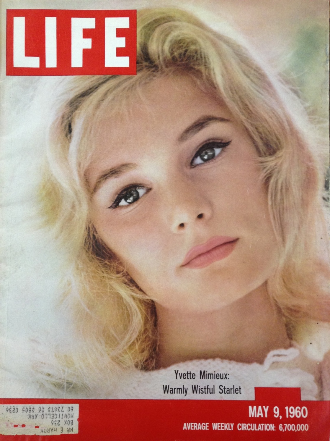 Picture of Yvette Mimieux