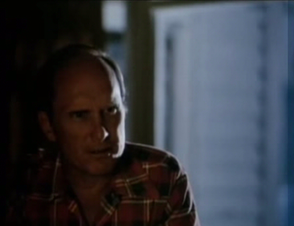 Picture of The Stone Boy (1984)