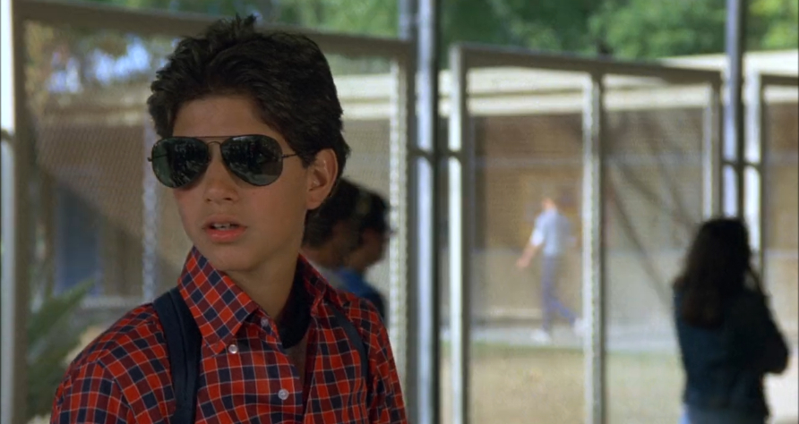 Picture of The Karate Kid