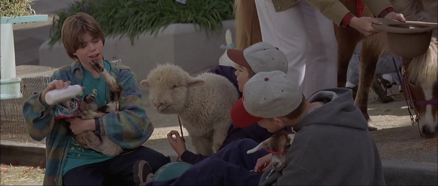 Picture of Mrs. Doubtfire (1993)