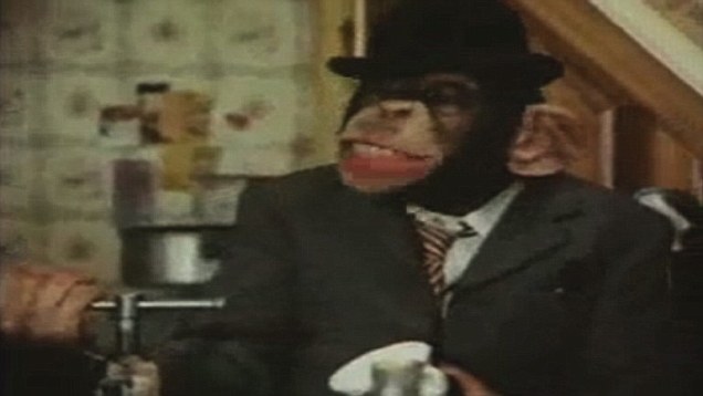 Picture of PG Tips Chimps