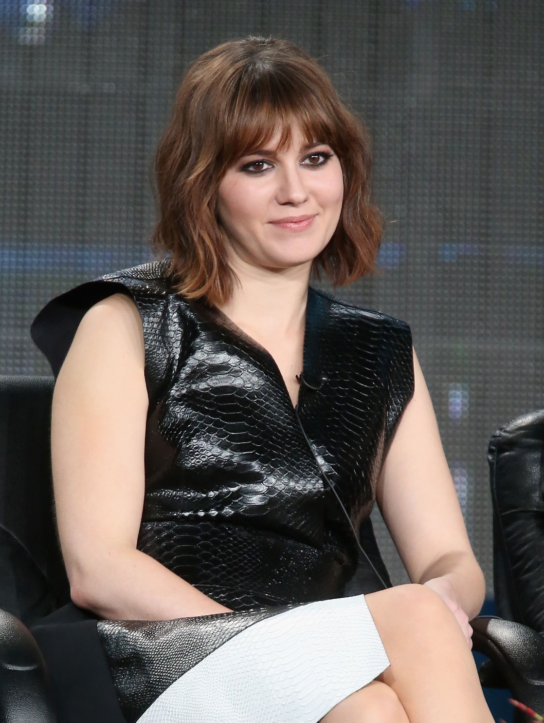 Picture of Mary Elizabeth Winstead