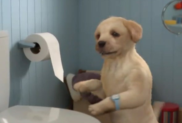 Picture of Andrex Puppy