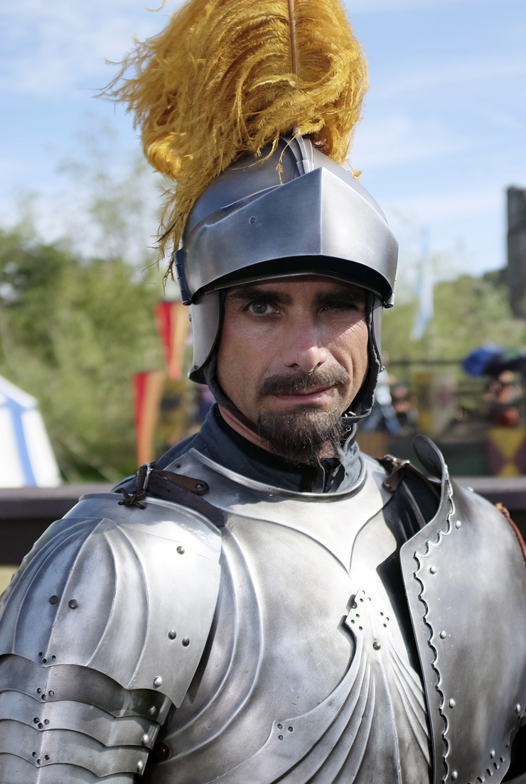 Picture of Galavant