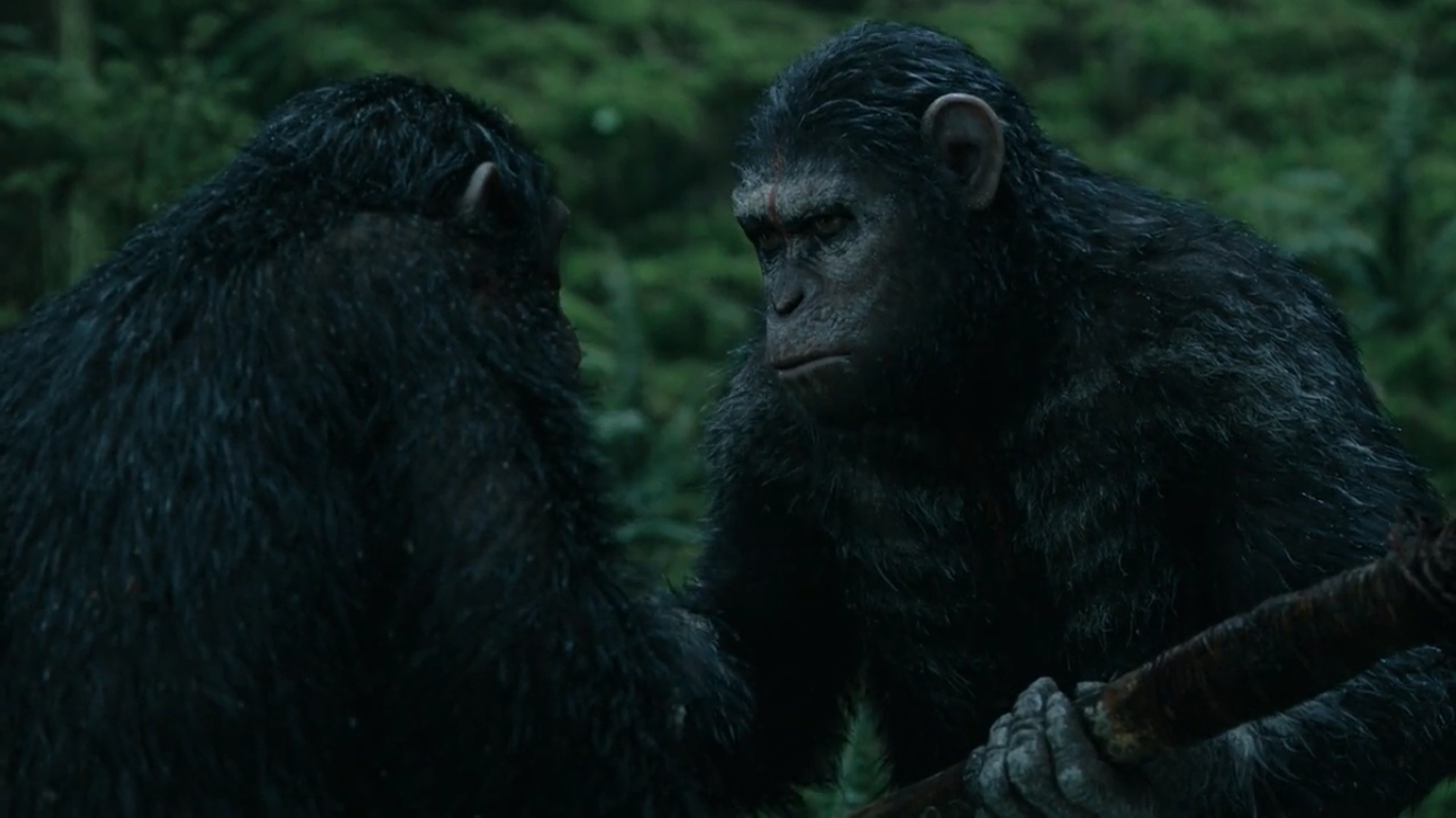 Image of Dawn of the Planet of the Apes