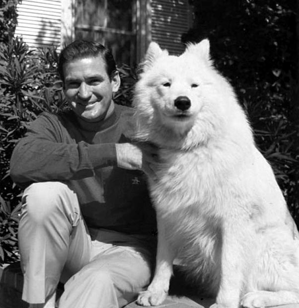 Picture of Rod Taylor
