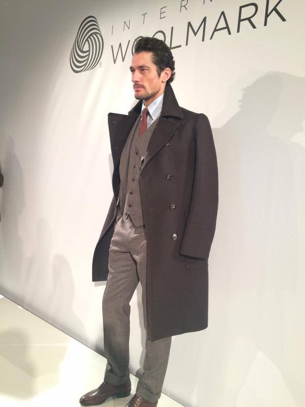 Picture of David Gandy