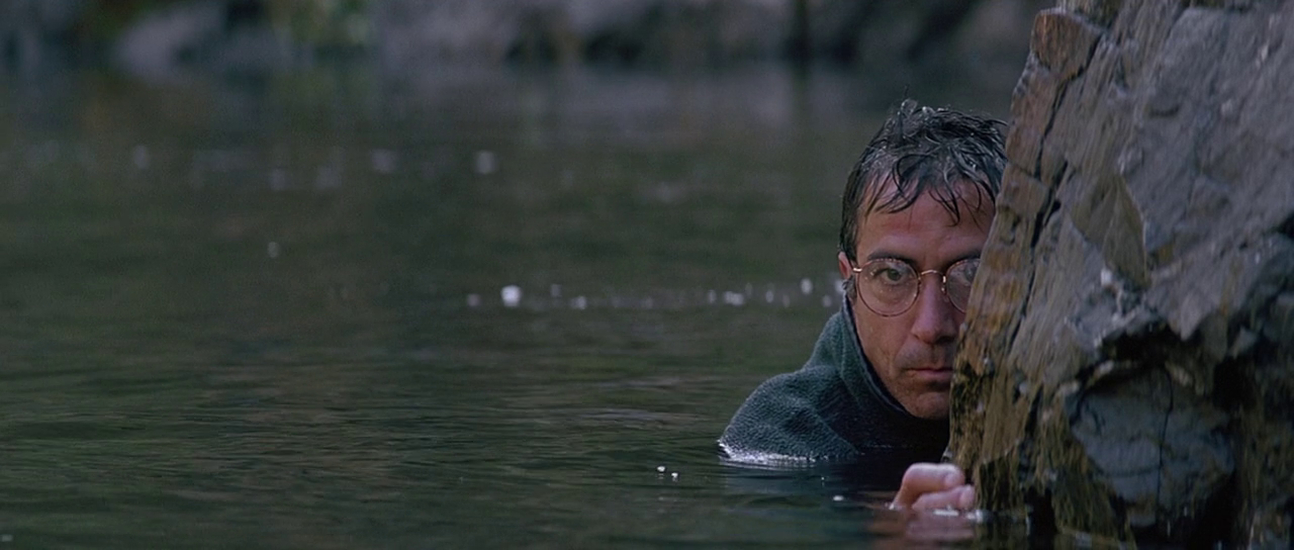 Picture of The River Wild (1994)