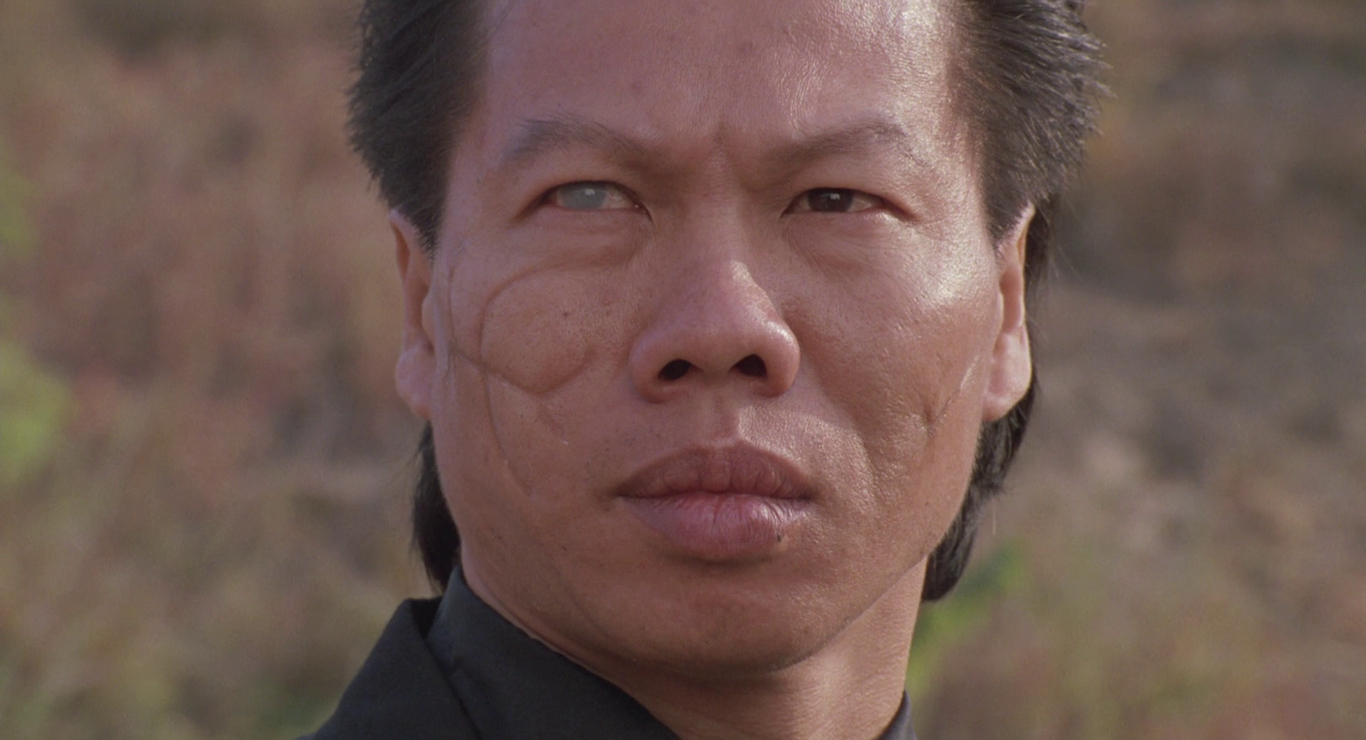 Picture of Double Impact (1991)