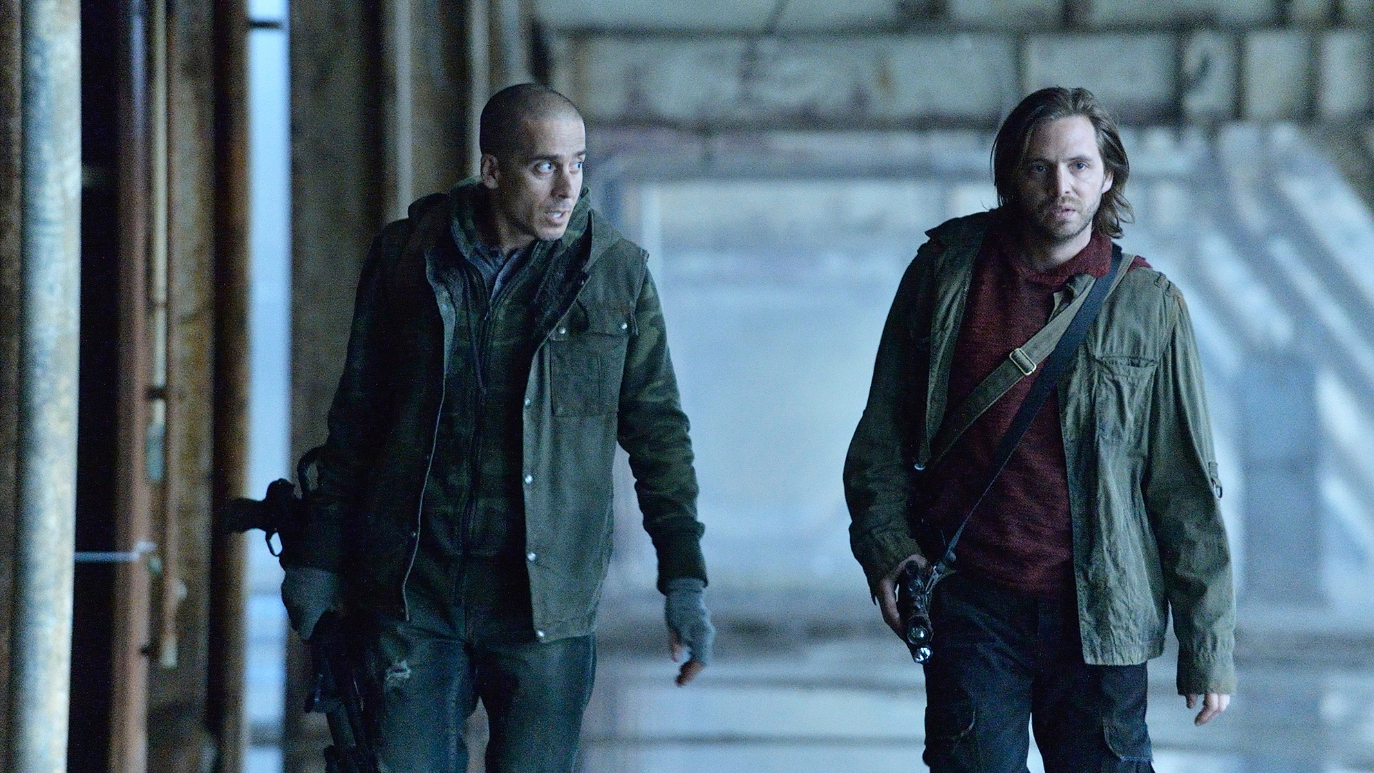 Picture of 12 Monkeys