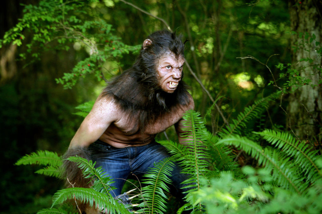 Picture of Grimm