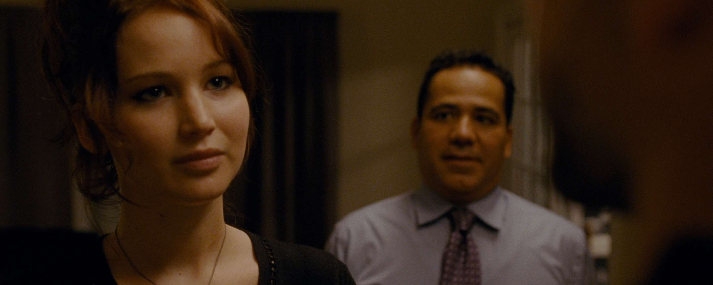 Image of Silver Linings Playbook