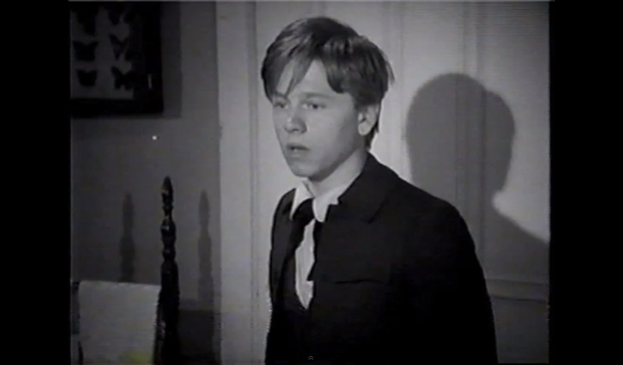 The Adventures of Huckleberry Finn picture