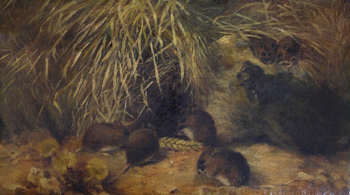 Mice Eating the Corn by Edward Julius Detmold