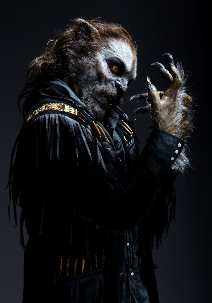 Picture of Wolves (2014)