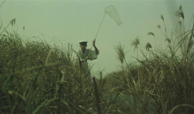 Picture of Grass Labyrinth