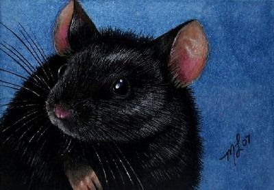Black Mouse by Melody Lea Lamb