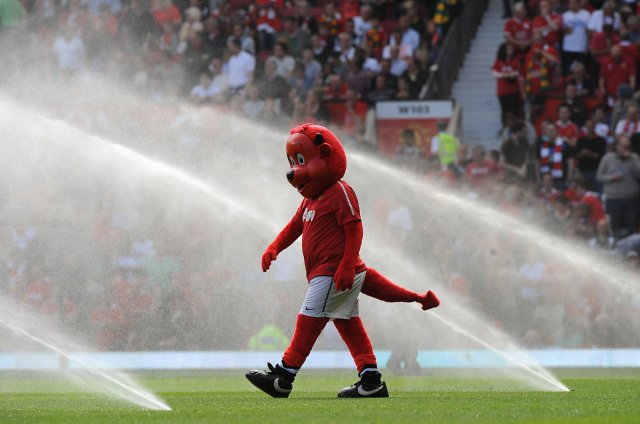 Picture of Fred the Red