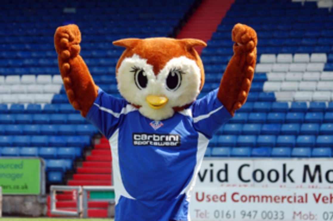 Picture of Chaddy the Owl