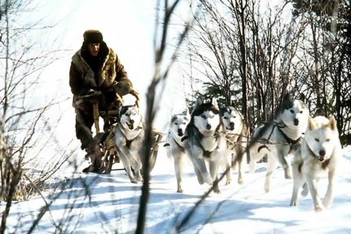 Picture of Iron Will (1994)