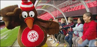 Picture of Scrumpy the Robin