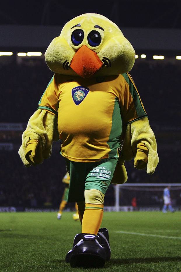 Picture of Captain Canary