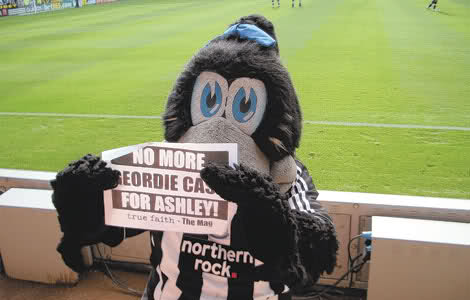 Picture of Monty the Magpie