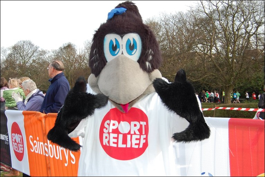 Picture of Monty the Magpie