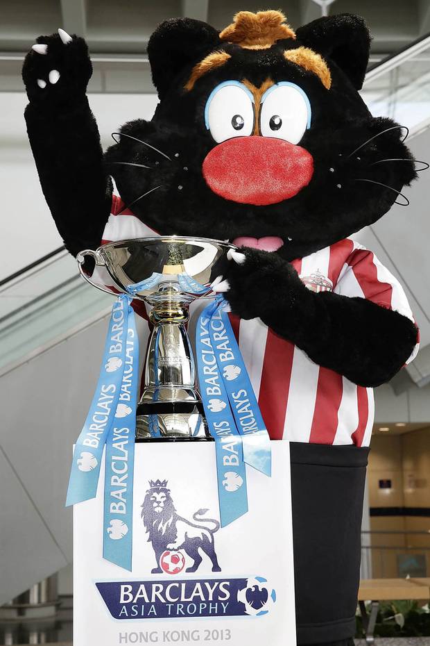 Picture of Samson the Black Cat