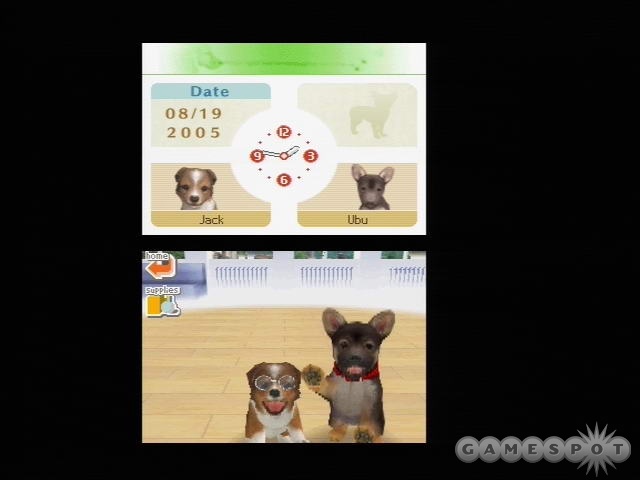 Picture of Nintendogs: Lab & Friends
